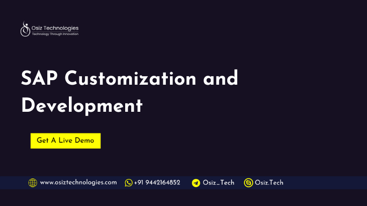 Sap Customization And Development Sap Custom Development